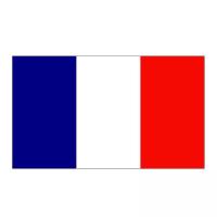 China Printed 3X5FT France Tricolor Flag Country Flag 100% Polyester Ready To Ship for sale