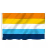 China Digital Printing Rainbow LGBT Flag 3x5 Ft 100D Polyester Bisexual Flag for sale