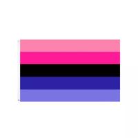 China Digital Printing Rainbow LGBT Flag 3x5Ft 100D Polyester Progress Flag for sale