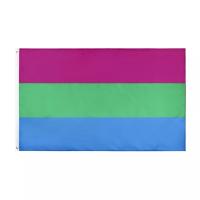 China Digital Printing Rainbow LGBT Flag 3x5Ft 100D Polyester Progress Flag for sale