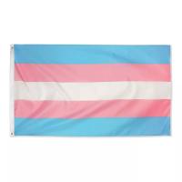 China Digital Printing Rainbow LGBT Flag 3x5Ft 100D Polyester Progress Flag for sale