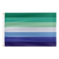 China Digital Printing Rainbow LGBT Flag 3x5Ft 100D Polyester Progress Flag for sale