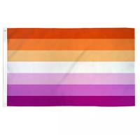 China Digital Printing Rainbow LGBT Flag 3x5Ft 100D Polyester Progress Flag for sale