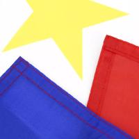 China Philippines 3X5 Custom Flag Digital Printing 100% Polyester Filipino Flag for sale