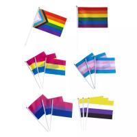 China Custom Logo Small Hand Flags LGBT Flag Portable 14x21cm/20x30cm/30x45cm for sale
