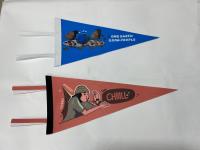 China Custom Size Non Woven Triangle Pennant Banner Factory Directly Sale for sale