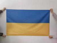 China Pantone Color Polyester World Flags 3x5 Ukrainian National Flag Hanging Style for sale
