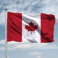 China 150cmx90cm Polyester World Flags Hanging Style Canada Country Flag for sale