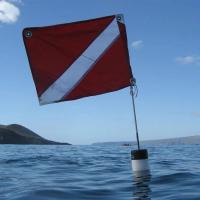 China Polyester Boat Diving Flag Pantone Color Silk / Digital / Sublimation Printing for sale