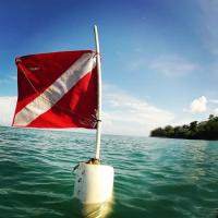 China Polyester Boat Diving Flag Pantone Color Silk / Digital / Sublimation Printing for sale