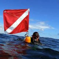 China Polyester Boat Diving Flag Pantone Color Silk / Digital / Sublimation Printing for sale