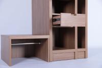 China Customized Modern Closet Cabinet With Shelving And Storage For The Hotel for sale