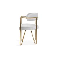 China Metal Frame Chair Home Furniture Living Room Chair Fabric Lounge Chair Fauteil  Velvet Armchair for sale