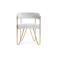 China Metal Frame Chair Home Furniture Living Room Chair Fabric Lounge Chair Fauteil  Velvet Armchair for sale