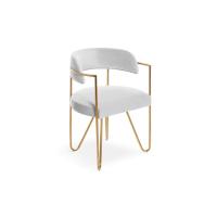 China Metal Frame Chair Home Furniture Living Room Chair Fabric Lounge Chair Fauteil  Velvet Armchair for sale