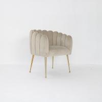 China Stainless Steel Legs European Armless Velvet Dining Room Chairs for sale