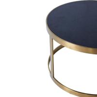 China Modern Round Wooden Top Stainless Steel Metal Frame Coffee Table 90x52cm for sale