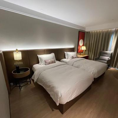 China Luxury Star Hotels Furniture Standard Room Fully Customized Interior furnishings for sale
