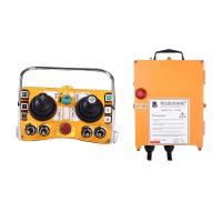 China F21-E1B Wireless Remote Control Crane 110v Industrial Overhead Electric Hoist Universal Construction Machinery Part Model for sale
