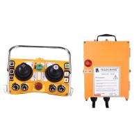 China F21-E1B Wireless Remote Control Crane 110v Industrial Overhead Electric Hoist Universal Construction Machinery Part Model for sale