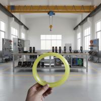 China Sani  Original Apron Concrete Pump Truck Parts  DN125 Pump Tube Seal for sale