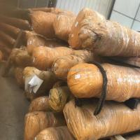 China New Main Oil Cylinder Delivery Pump Truck Boom Support Leg Zhonglian Sanyi Schwing for sale