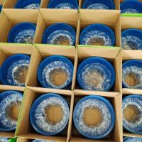 China New Original Factory Imported MDI Piston 260/230 Thickened and Enlarged Concrete Pump for Sanyi and Zoomlioon for sale