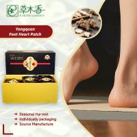 China Sleep Enhancing Chinese Medicine Bag Antifungal Herbal Foot Detox for sale