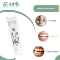 China Freshness Dandelion Sensitive Toothpaste Anti Inflammatory Toothpaste Herbal for sale