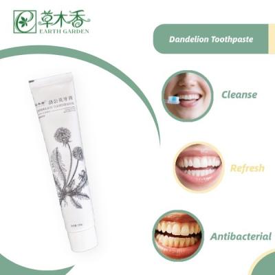 China Freshness Dandelion Sensitive Toothpaste Anti Inflammatory Toothpaste Herbal for sale