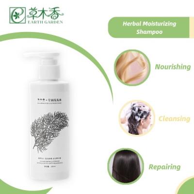 China Chinese Botanical Shampoo Hydrating Herbal Shampoo For Hair Loss for sale