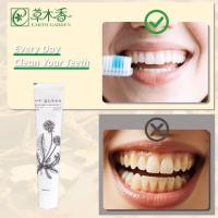 China 100% Herbal Toothpaste Dandelion Soothes Gums Anti Inflammatory Fresh Breath for sale