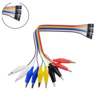 China 10 Pin Alligator Clip to Female Dupont Breadboard Test Lead Jumper Wires 0.2m for Raspberry Pi for sale