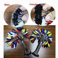 China 10 Pin Alligator Clip to Female Dupont Breadboard Test Lead Jumper Wires 0.2m for Raspberry Pi for sale