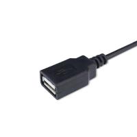 China Custom USB 2.0 A Female to JST PH 2.0 Cable Assembly with 18-26AWG Wire Gauge and 0.2-1m Length Options for sale