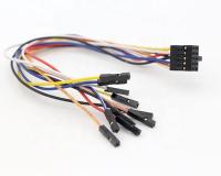 China Custom Dupont Female to Molex Female Jumper Wire Harness Cable 0.2m 1m 2m 3m OEM for sale