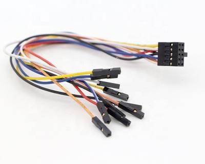 China Dupont Female to Molex Female 2.54mm Pitch Jumper Wire Harness Cable Assembly for sale