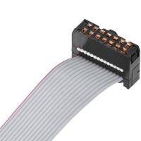 China 40 Pin Female to Female IDC Ribbon Cable 2.54mm Pitch 10cm for Raspberry Pi PCB for sale