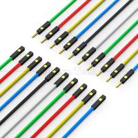 China Dupont Jumper Wire 2.54mm 1 Pin Male to Female Breadboard Cable 10cm for Arduino for sale