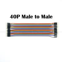 China 40 Pin Male to Male 2.54mm Dupont Jumper Wire 20cm for Raspberry Pi GPIO Breadboard for sale