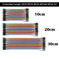China 40 Pin Male to Male 2.54mm Dupont Jumper Wire 20cm for Raspberry Pi GPIO Breadboard for sale