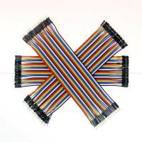 China 40 Pin Dupont Jumper Wires 10cm 20cm 30cm Male to Male Female to Female Rainbow Ribbon Cable for Raspberry Pi Arduino for sale