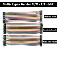 China 40 Pin Dupont GPIO Cable Jumper Wire 20cm Male to Female for Arduino Breadboard Raspberry Pi PCB for sale