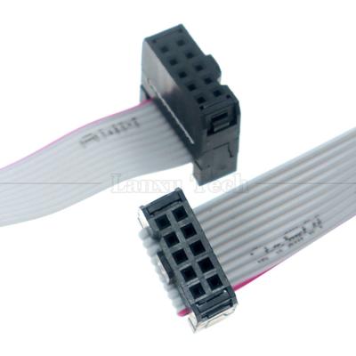 China Female to Female 10 Pin 1.27mm Pitch IDC Ribbon Cable 28AWG 10cm for Raspberry Pi GPIO for sale