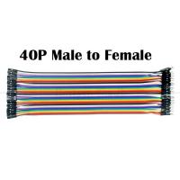 China 20cm 40 Pin Male to Female Dupont Jumper Wire Cable for Raspberry Pi GPIO Breadboard for sale