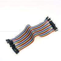 China 20cm 40 Pin Male to Female Dupont Jumper Wire Cable for Raspberry Pi GPIO Breadboard for sale