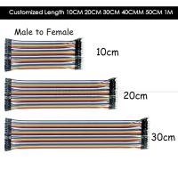 China 20cm 40 Pin Male to Female Dupont Jumper Wire Cable for Raspberry Pi GPIO Breadboard for sale