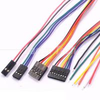 China Dupont 2.54mm Jumper Wire Harness 2-10 Pin Female Connector Cable 20cm 30cm 50cm for Arduino Raspberry Pi PCB for sale
