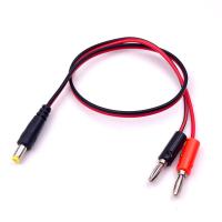 China 12V DC 5.5x2.1mm Male to 4mm Banana Plug Power Cable 18AWG 1M for sale