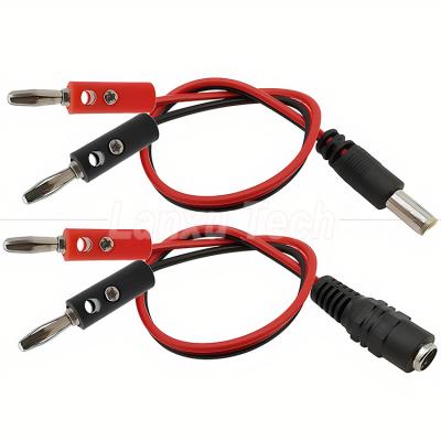 China 12V DC 5.5x2.1mm Male Barrel Jack to 4mm Banana Plug Test Lead Power Cable 0.3M for sale
